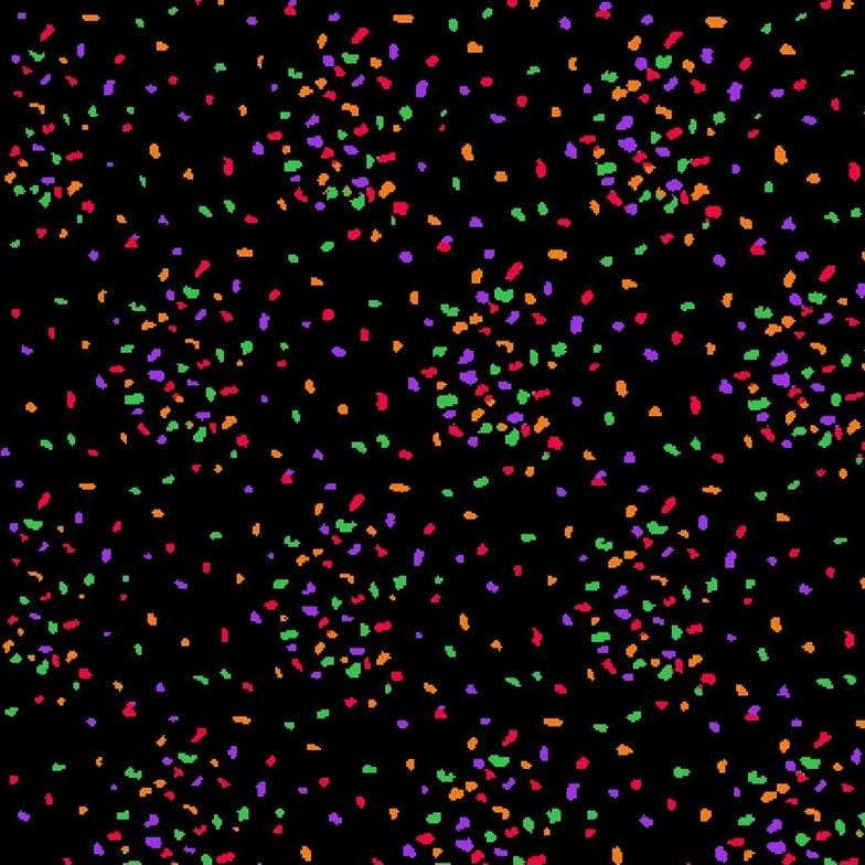 confetti_Black | Confetti Carpet | Value Carpet